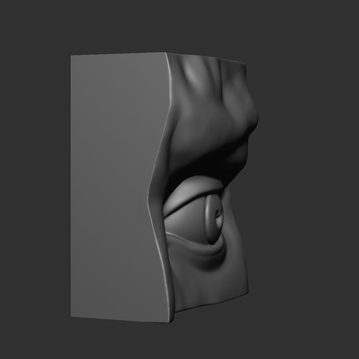 ️ David Facial Anatomy – Anatomic Study Models Collection STL+OBJ・ 3D ...