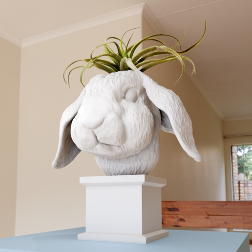 STL file bunny rabbit bust planter pot flower vase stl 🐇 ・3D print ...