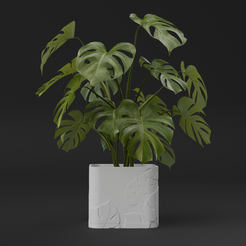 Monstera best STL files for 3D printing・266 free models to download・Cults