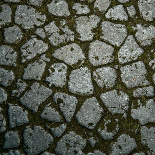 cobble mossy