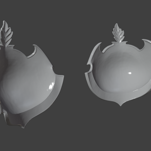 🎭 Ebonwing Bra Cups (Cups Only)・ STL File for 3D printing・Cults