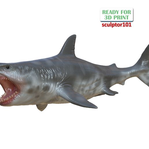 🌊 Ancient Ocean Creature Megalodon 3D sculpting printable model・ 3D ...