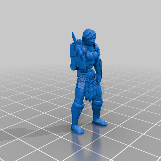 ♀️ Lady Warrior・Free STL File for ・Cults