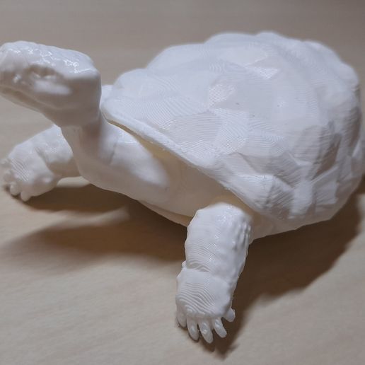 🐢 Turtle・Free STL File for 3D printing・Cults