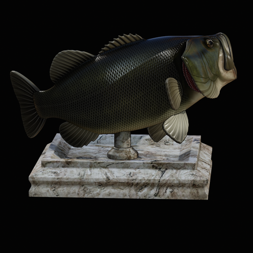 🐠 fish Largemouth Bass / Micropterus salmoides trophy statue detailed ...