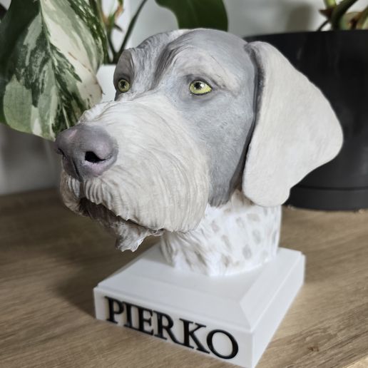 3D printed German wirehaired pointers bust 3D print model・Cults