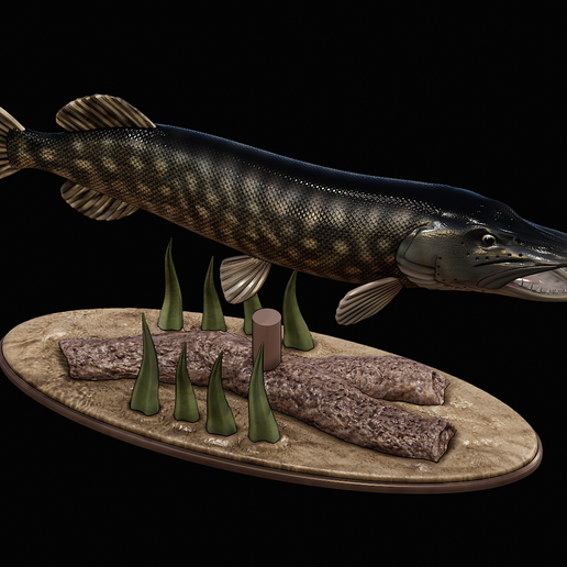 🐠 fish NORTHERN PIKE (ESOX LUCIUS) in motion 2 natural base detailed ...