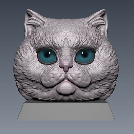 🐱 Cat Head 01・ STL File for ・Cults