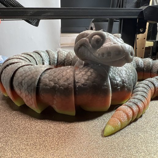 ball python face cute