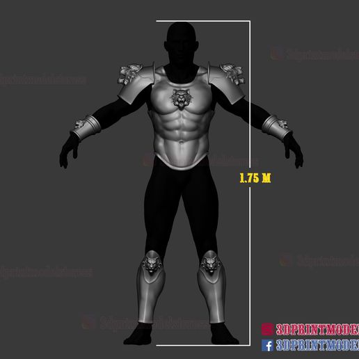 🏛️ Larp Armor - Classical Tiger Roman Muscle Armor Set Cosplay 3D print ...