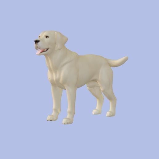 STL file Labrador 🐕 ・3D print object to download・Cults