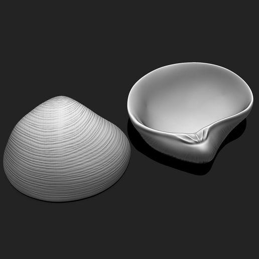 🐚 Shell 8 - 3D Print - Aquarium - Sea Life・ 3D File for 3D printing・Cults