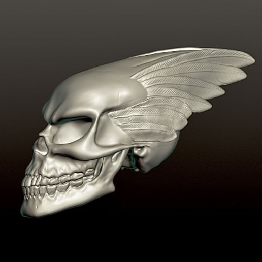 💀 SKULL FAST AND FEATHERED・ STL File for 3D printing・Cults