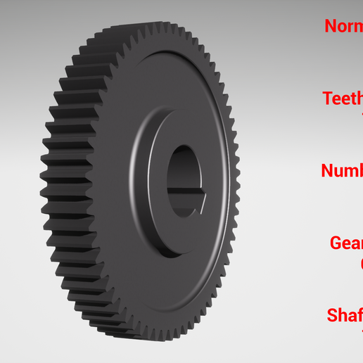 ⚙️ Cylindrical gear - paired - z64 m1 D66 d15・ STL File for ・Cults