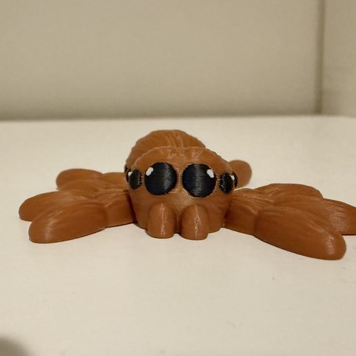 🕷️ Jumping Spider・ 3MF File for 3D printing・Cults