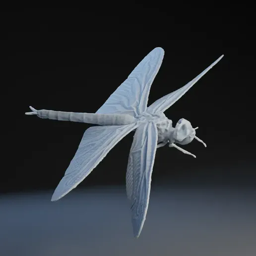 realistic dragonfly