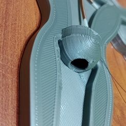 Uterus best STL files for 3D printer・37 models to download・Cults