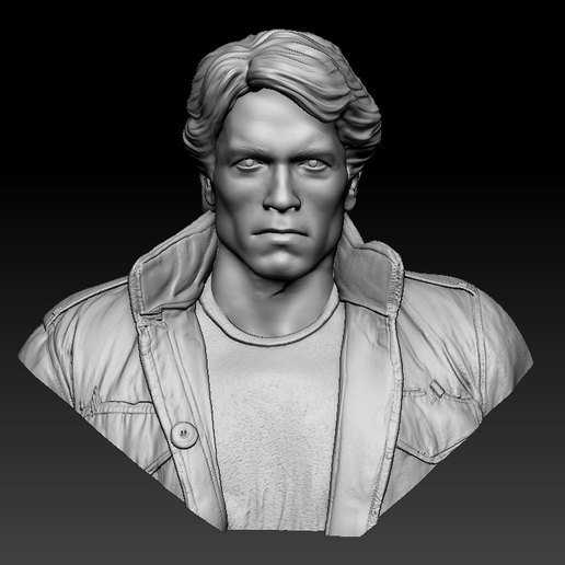👤 Terminator 1 - Bust of Arnold Schwarzenegger - T800 - Bust of Arnold ...
