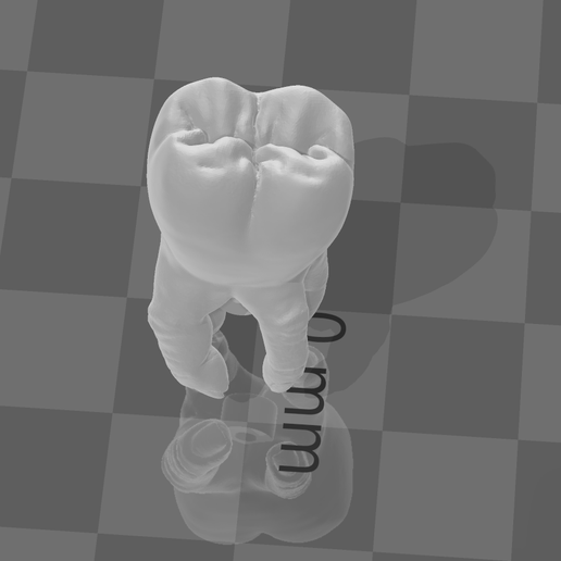 🦷 Chaveiro Dente Molar (Molar Tooth Keychain)・ STL File for ・Cults