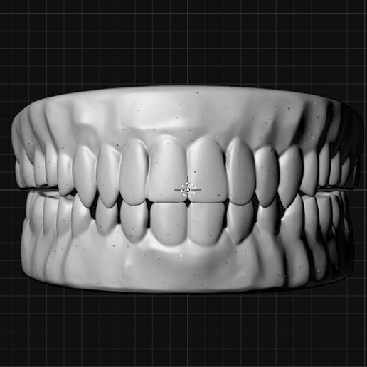 👾 Human denture・Free STL File for 3D printing・Cults