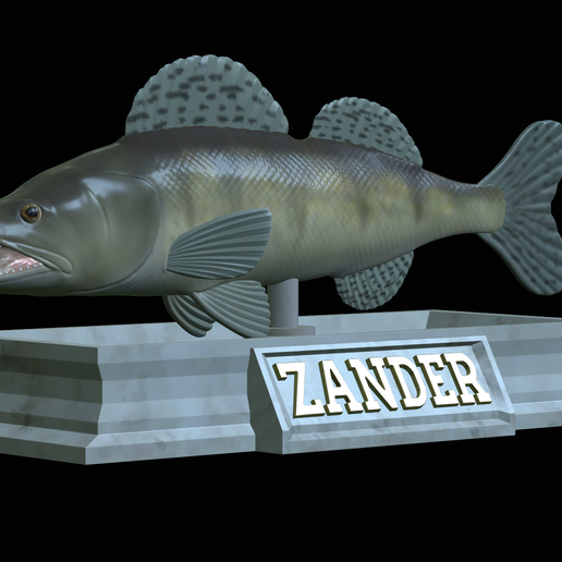 STL file fish zander / pikeperch / Sander lucioperca open mouth statue ...