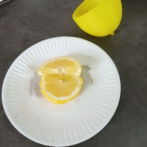 🍋 Lemon storage・Free STL File for 3D printing・Cults