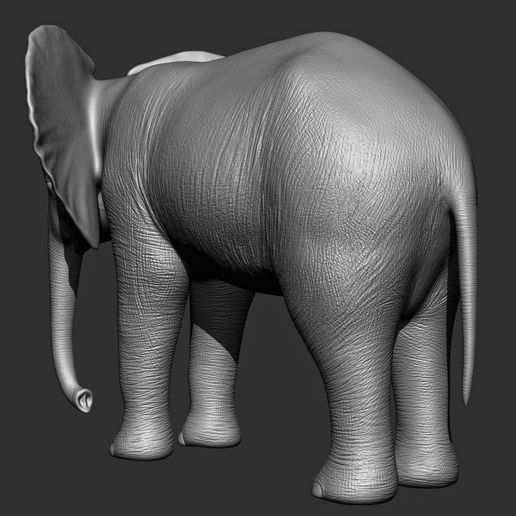 👶 Wild Baby animal collection - 5 animals・ 3D File for 3D printing・Cults