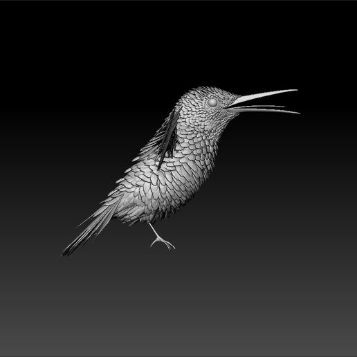 🐦 hummingbird・ STL File for 3D printing・Cults
