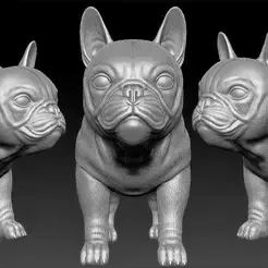 Bulldog best 3D printing files・1.5k free models to download・Cults