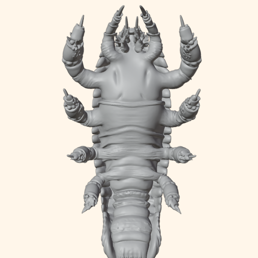 👹 Trilobite Creature・Free STL File for 3D printing・Cults