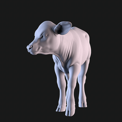 🐄 Calf・ STL File for 3D printing・Cults