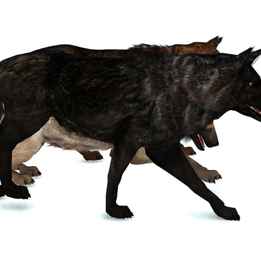 🐕 DOG DOG DOWNLOAD German Shepherd 3d model animated for blender-fbx ...