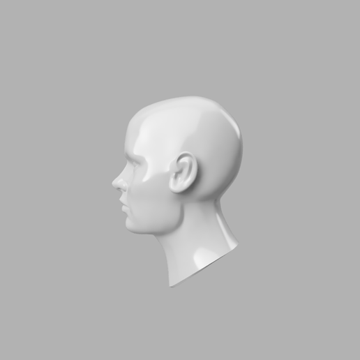 STL file Human Head Model - Bring Anatomy to Life 👾 ・3D printable ...