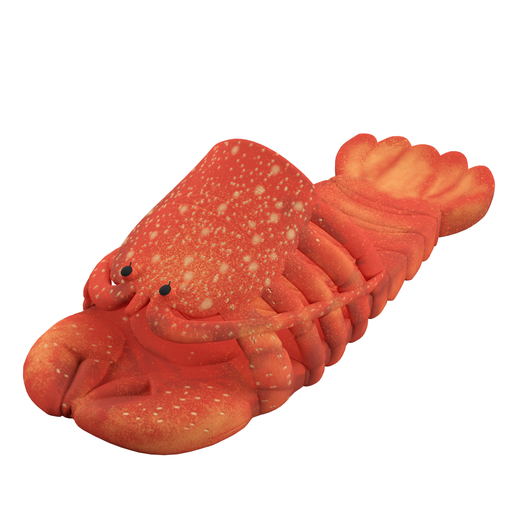 🦞 Crayfish Slipper Lobster Fish Flip floops For Women & MEN Lobster ...