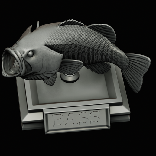🐠 fish Largemouth Bass / Micropterus salmoides trophy statue detailed ...