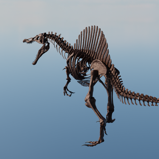 💀 Spinosaurus aegyptiacus skeleton v1,v2 and version JP3 model 3d print ...