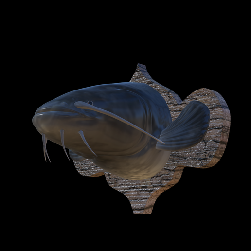 🏆 catfish detailed texture trophy taxidermy for 3d printing・Free STL ...