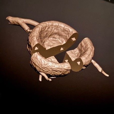 🐦 BIRD NEST ON LIMB・Free STL File for 3D printing・Cults