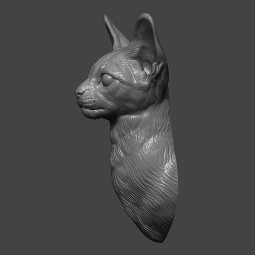 🐱 Abyssinian cat bust・ STL File for 3D printing・Cults