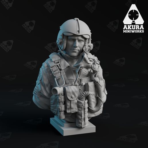 🧑‍ ️ F-14 Tomcat Pilot Bust—1/8th Scale (award-winning model)・ 3D File ...