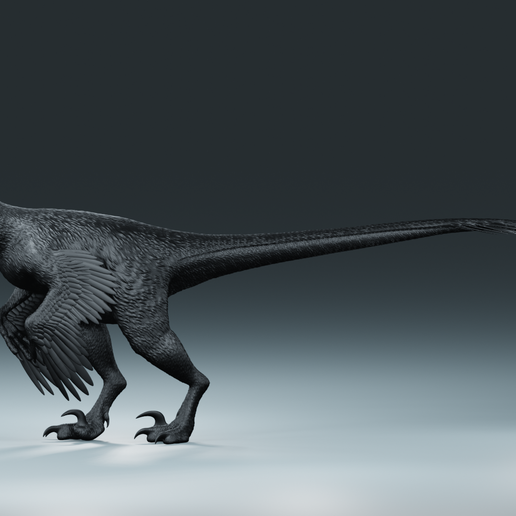 🦖 Dromaeosaurus・ STL File for 3D printing・Cults
