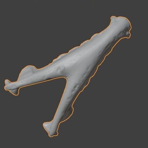 🦊 Real Red Fox Skull - High Detail 3D Scan - Separate Jaw - 1:1 ...