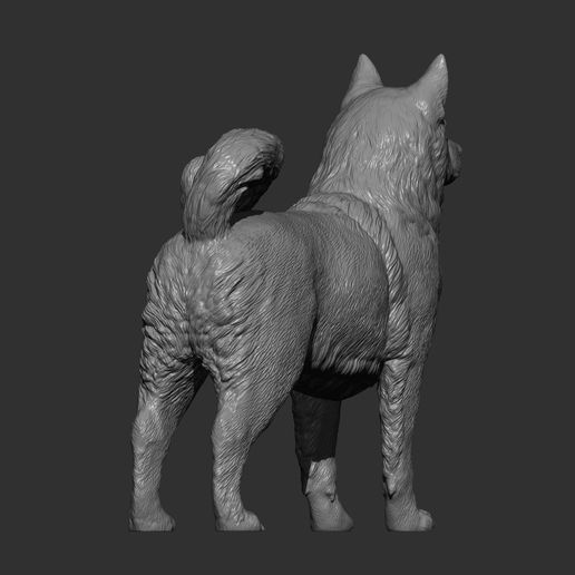 🗿 Norwegian Elkhound・ STL File for 3D printing・Cults