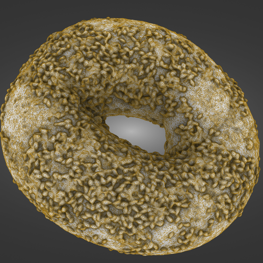🥯 Sesame Bagel 3D Model — Premium 2.5M Hi-Detail Laser Scan (500k & 2 ...