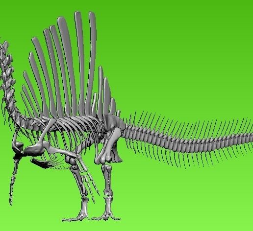 STL file Skeleton animal statue - 3D print 💀 ・Template to download and ...