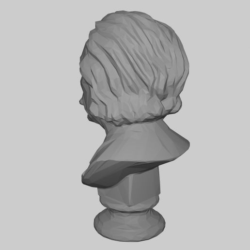 👤 Albert Einstein Low Poly Bust German Physicist Relativity Theory・ STL ...