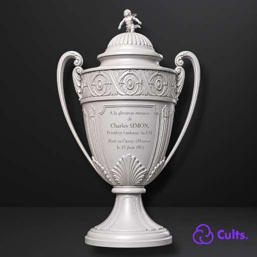 Trophée de la Coupe de France - 3D Replica ULTRA Detailed , Premium ...