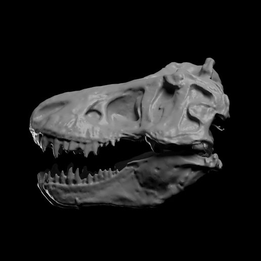 🦖 Tyrannosaurus (T-rex) skull 3D Print - dinosaur・ OBJ File for 3D ...