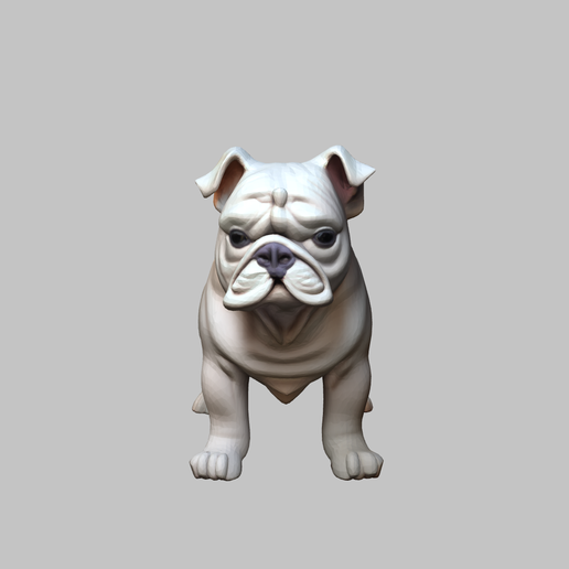 STL file Bulldog Figure 🐕 ・Model to download and 3D print・Cults