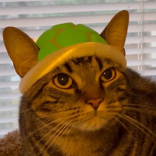 Turtle Cat Hat 🐢🐢🐢・ 3D File for 3D printing・Cults